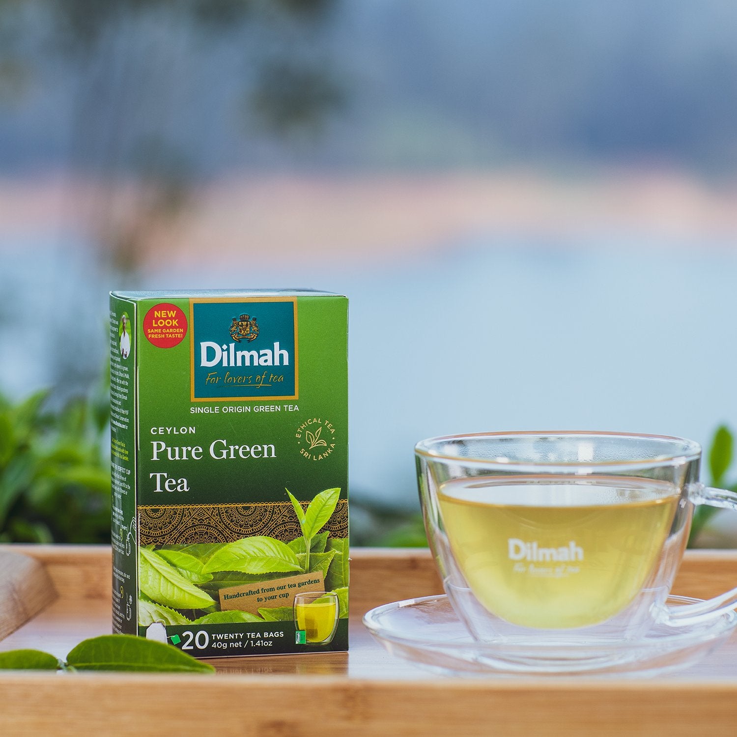 Best Quality Green Tea In South Africa at Genevieve Tarrant blog